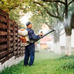 Trusted Pest Control Services for Homes & Businesses