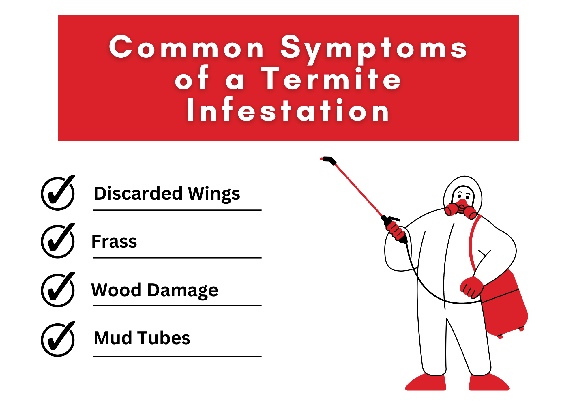 4 Effective Termite Elimination Strategies for Termite Control ...